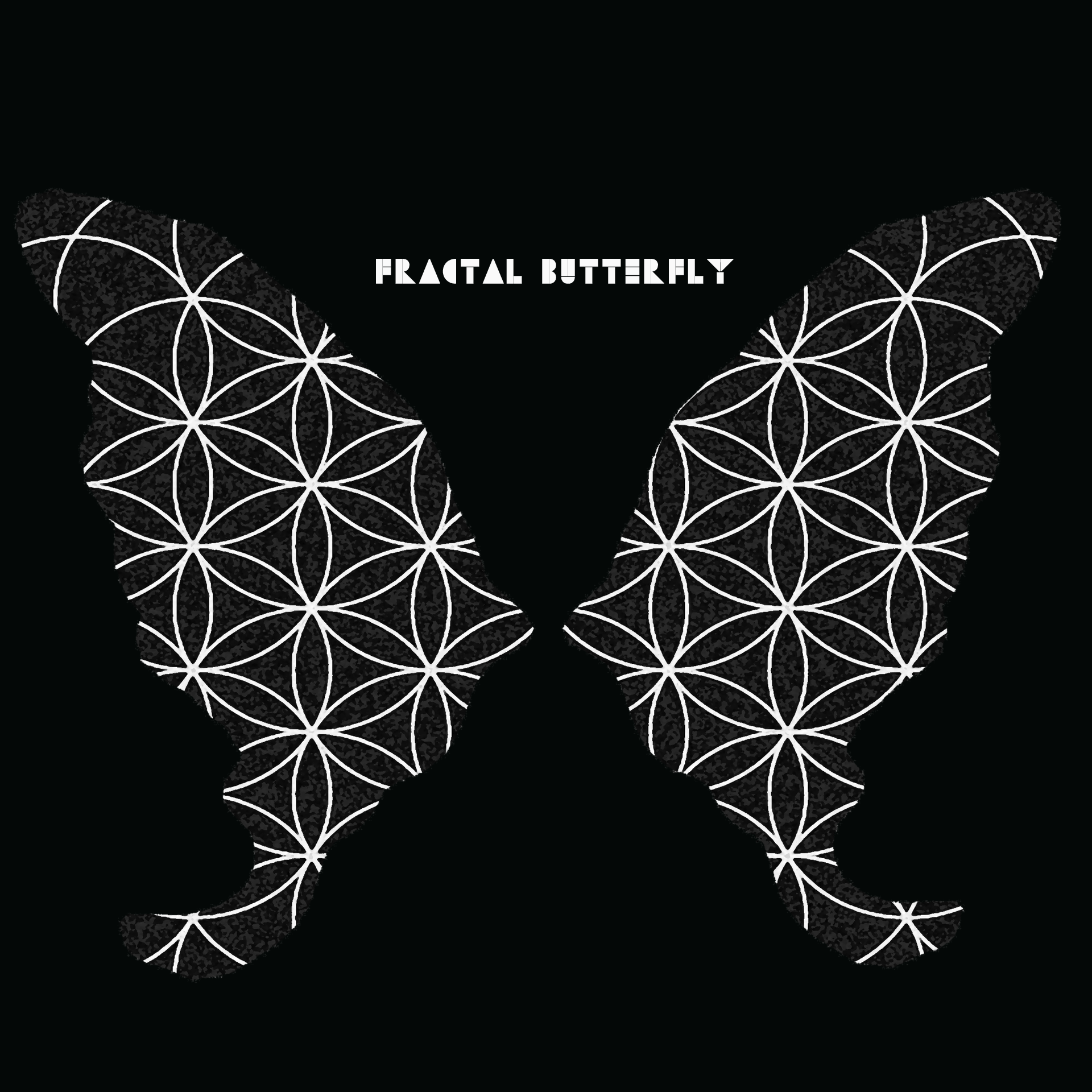 ANGEL HAMILTON – Documentary Filmmaker