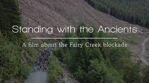 ANGEL HAMILTON – Documentary Filmmaker